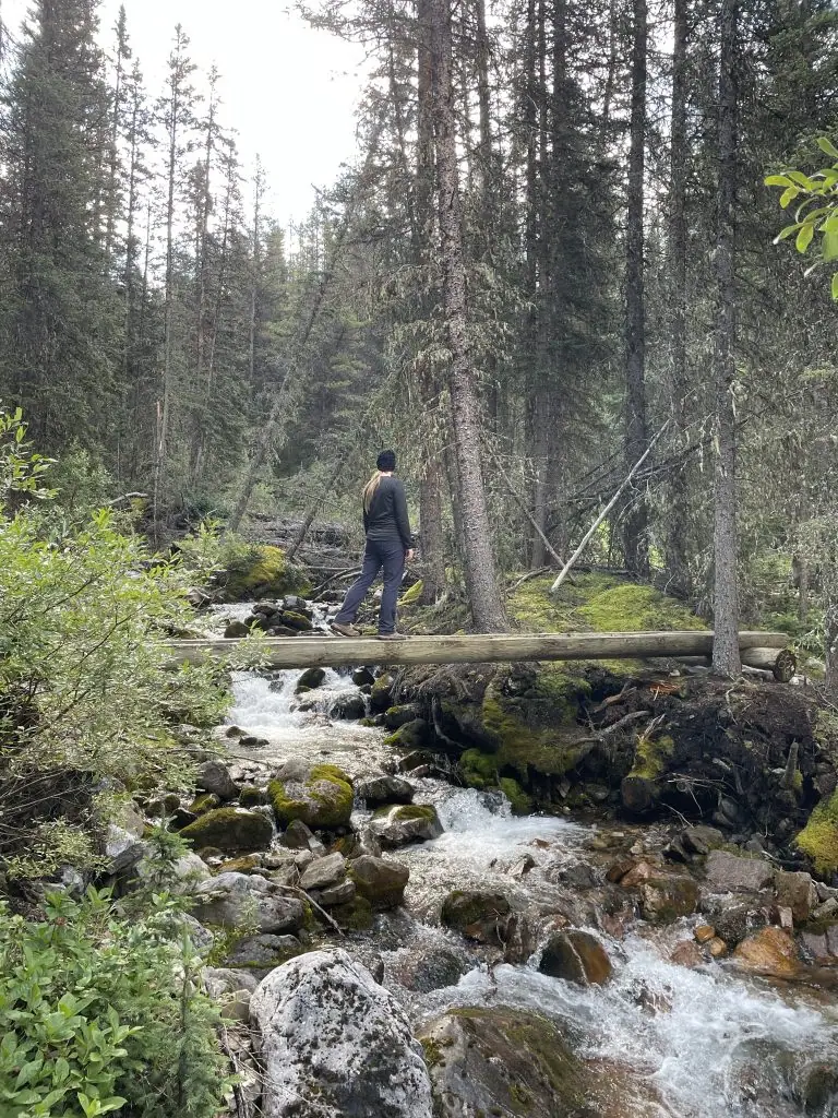 Elk Lake Backpacking Trail via Cascade Amphitheatre