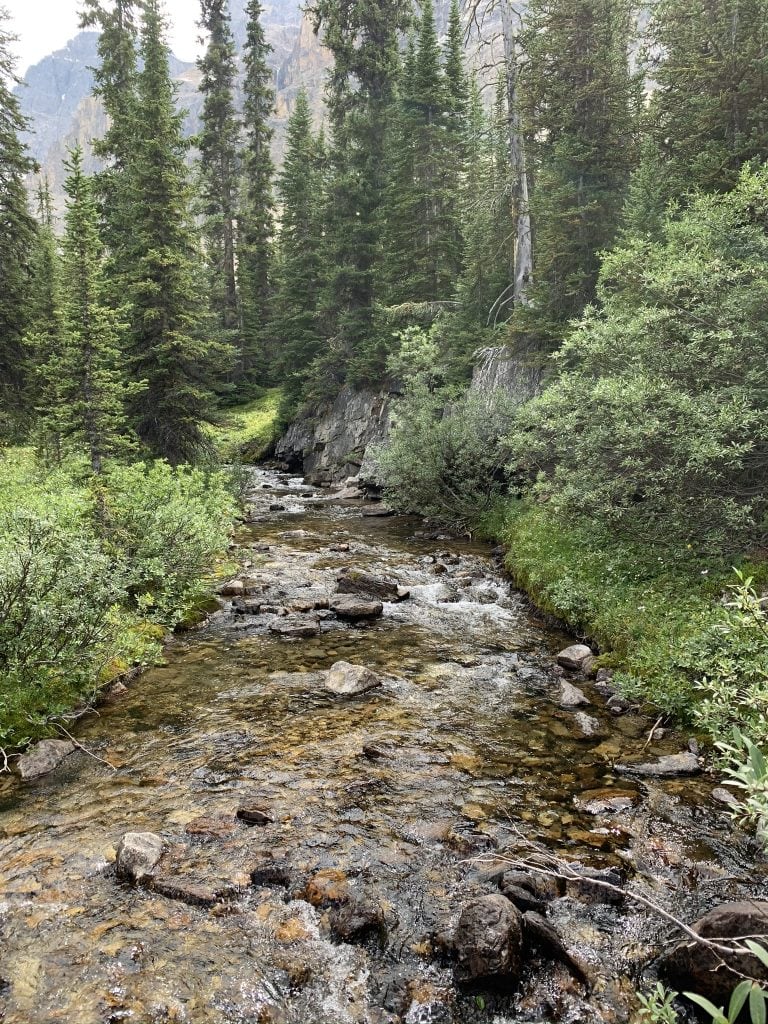 Mosquito Creek to North Molar Pass Backpacking Trail