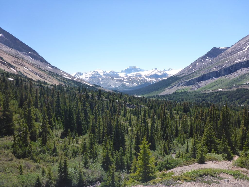 Nigel Pass: An Epic Day Hike in Banff National Park