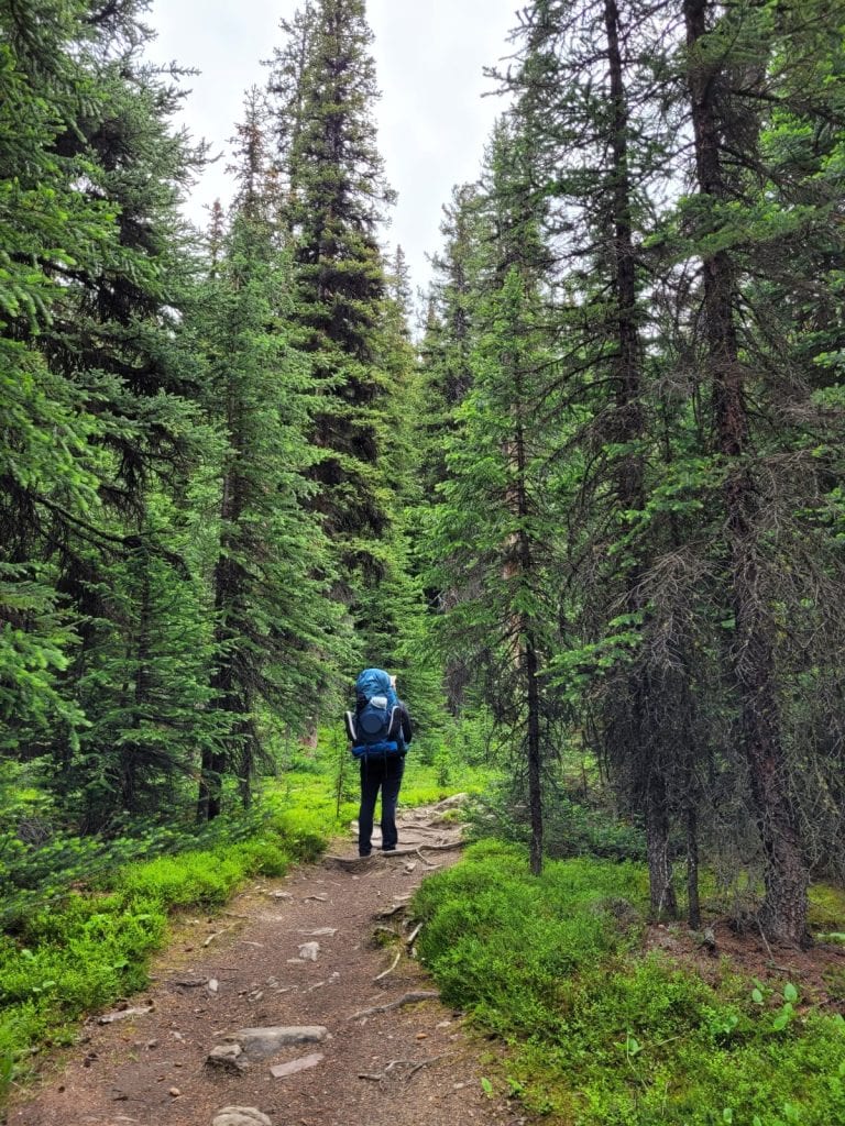Skoki Loop Trail: The Ultimate Backpacking Trail in Banff National Park