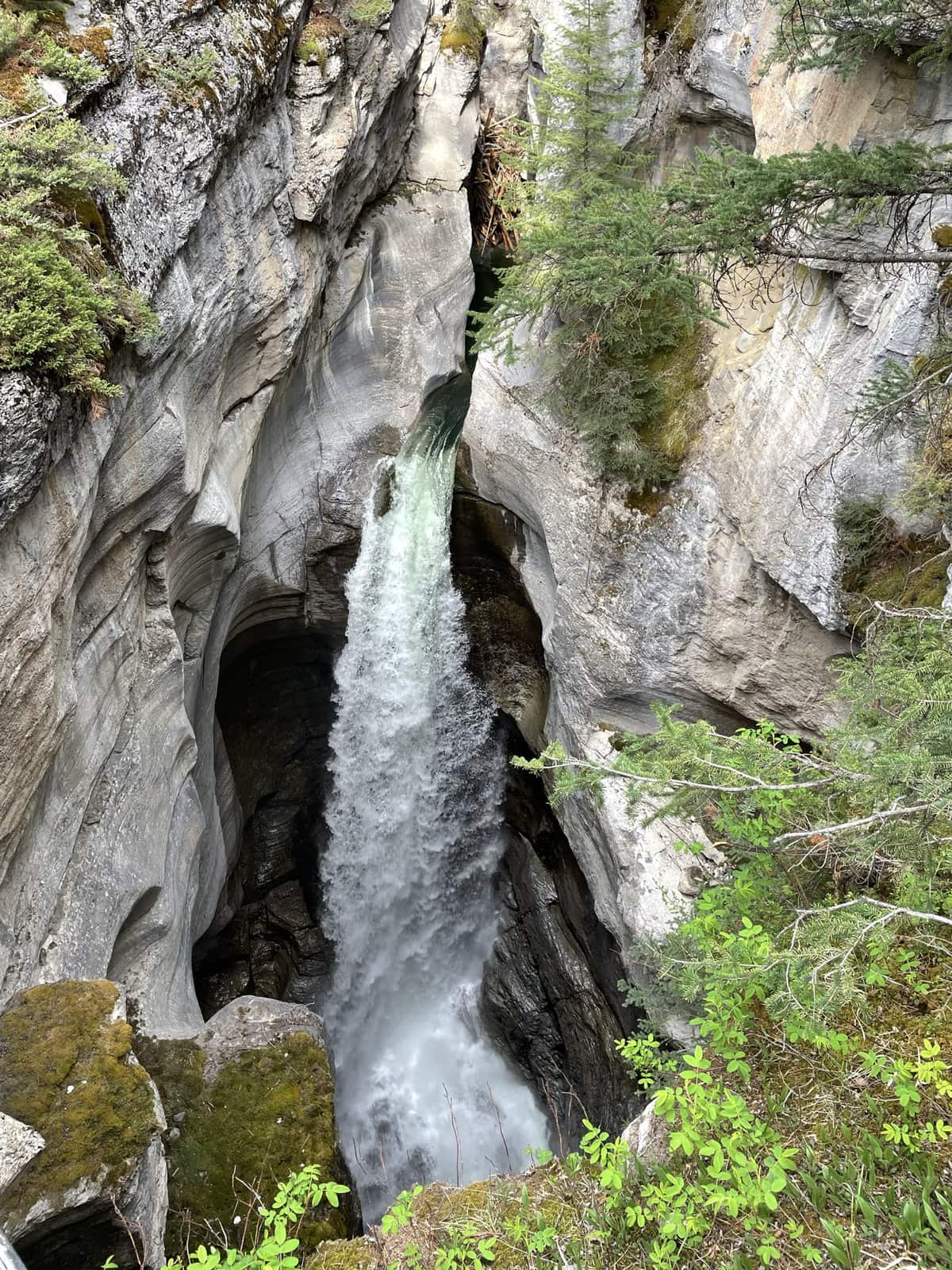 Top 5 Most Magnificent Waterfalls in Jasper National Park