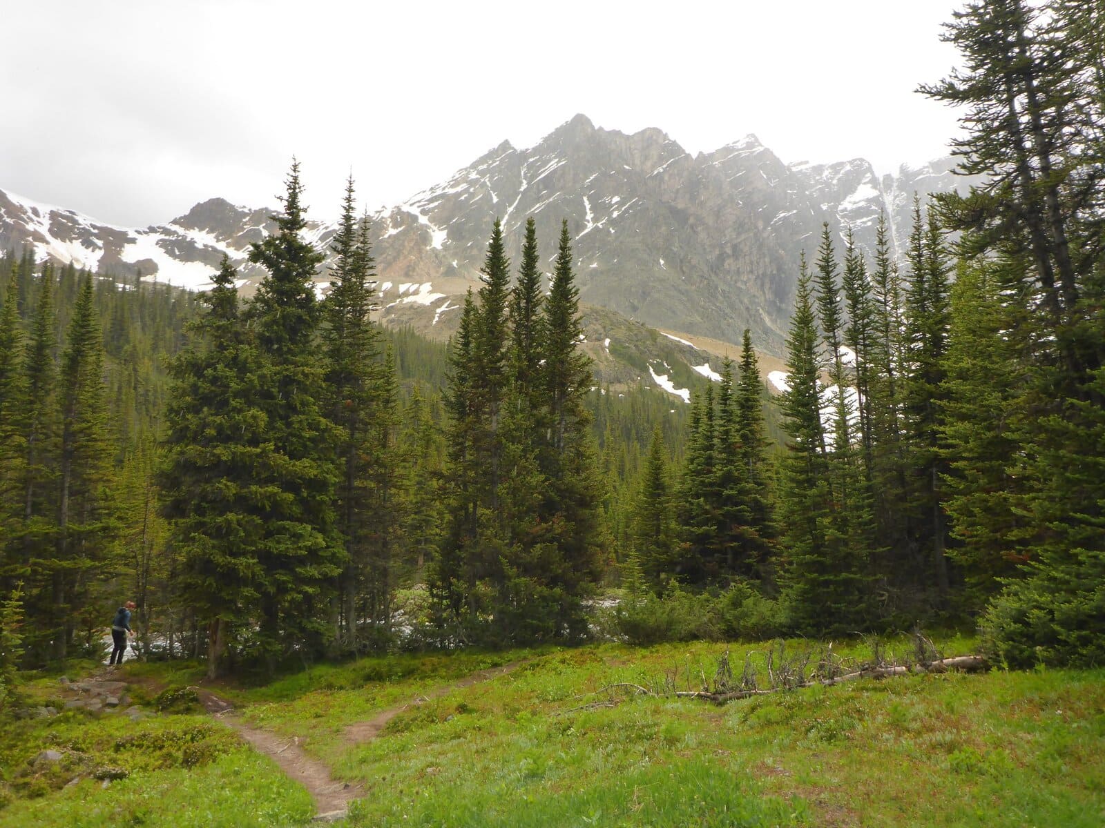 Fryatt Valley: Jasper's Best Backcountry Hike