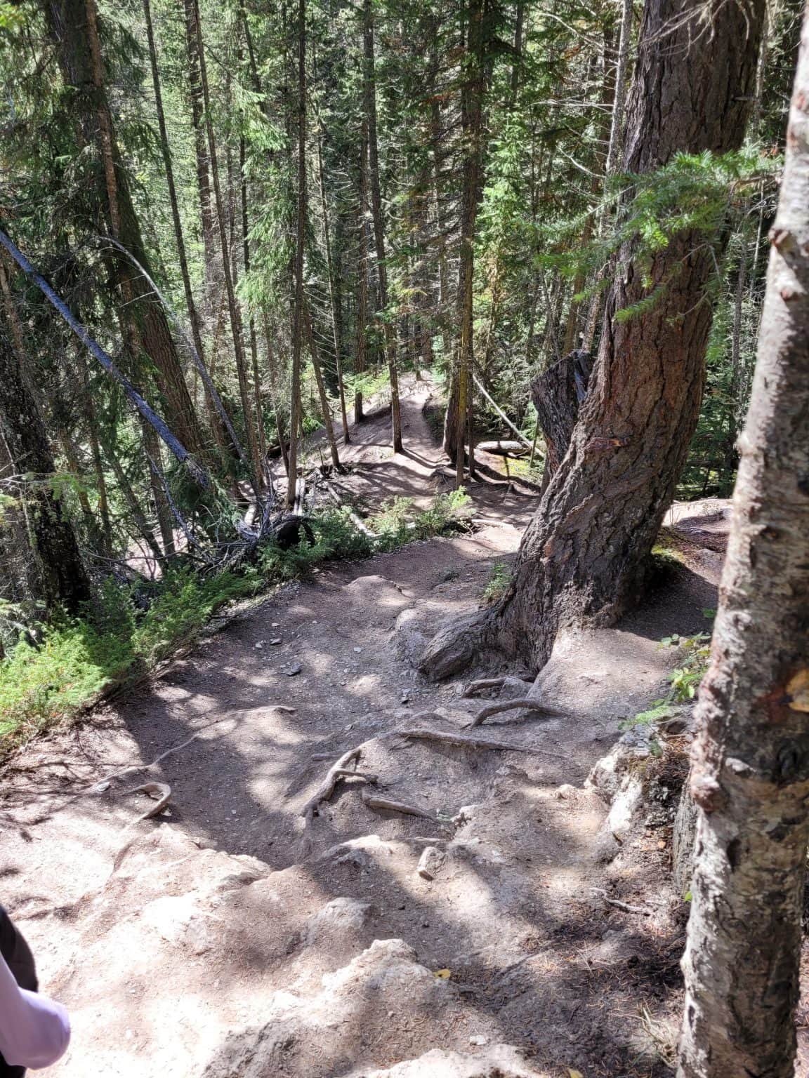 Wapta Falls: A Guide to Yoho’s Most Stunning Waterfall