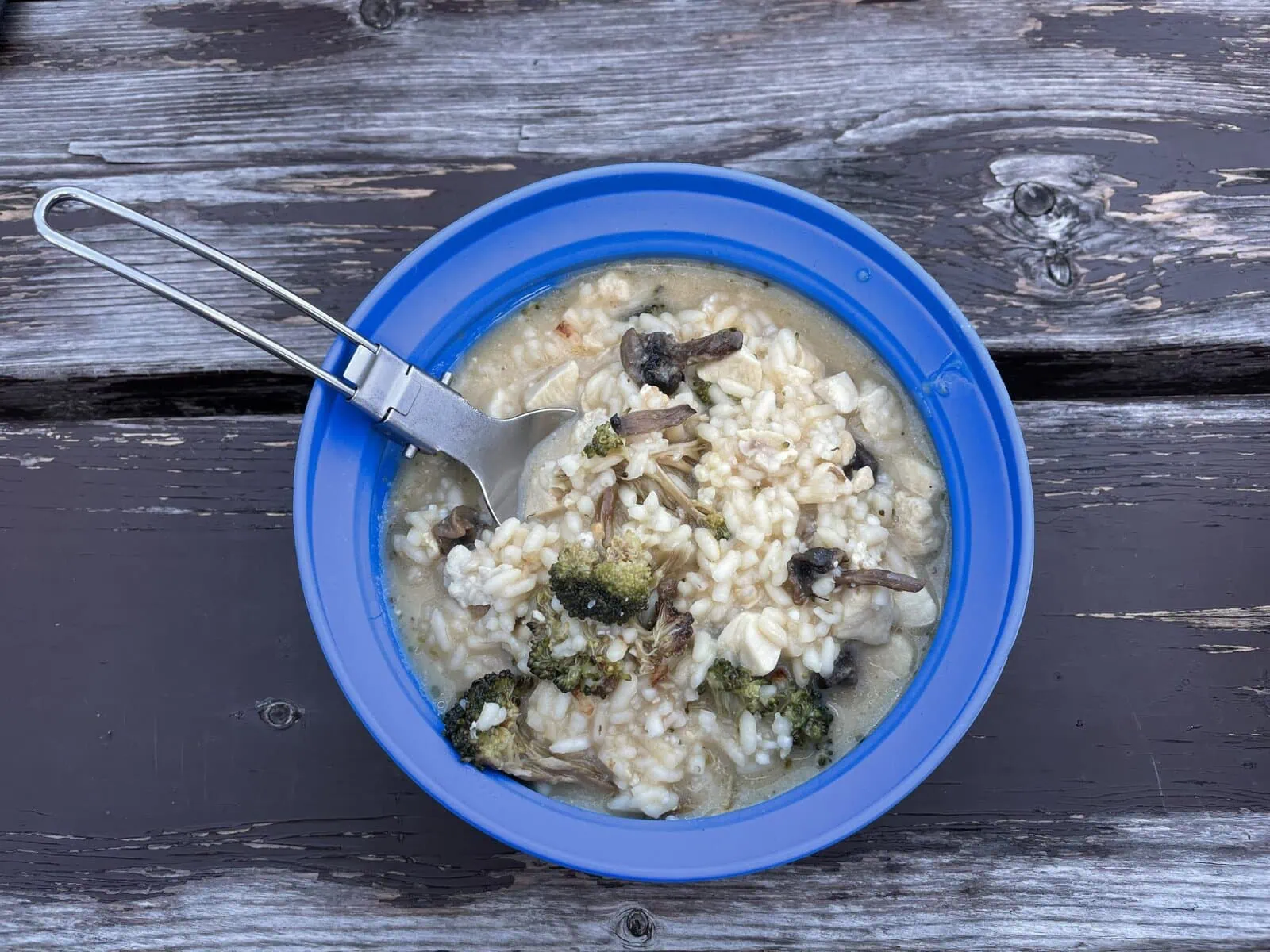 Easy DIY Backpacking Meals You Can Make at Home (plus Dehydration and ...